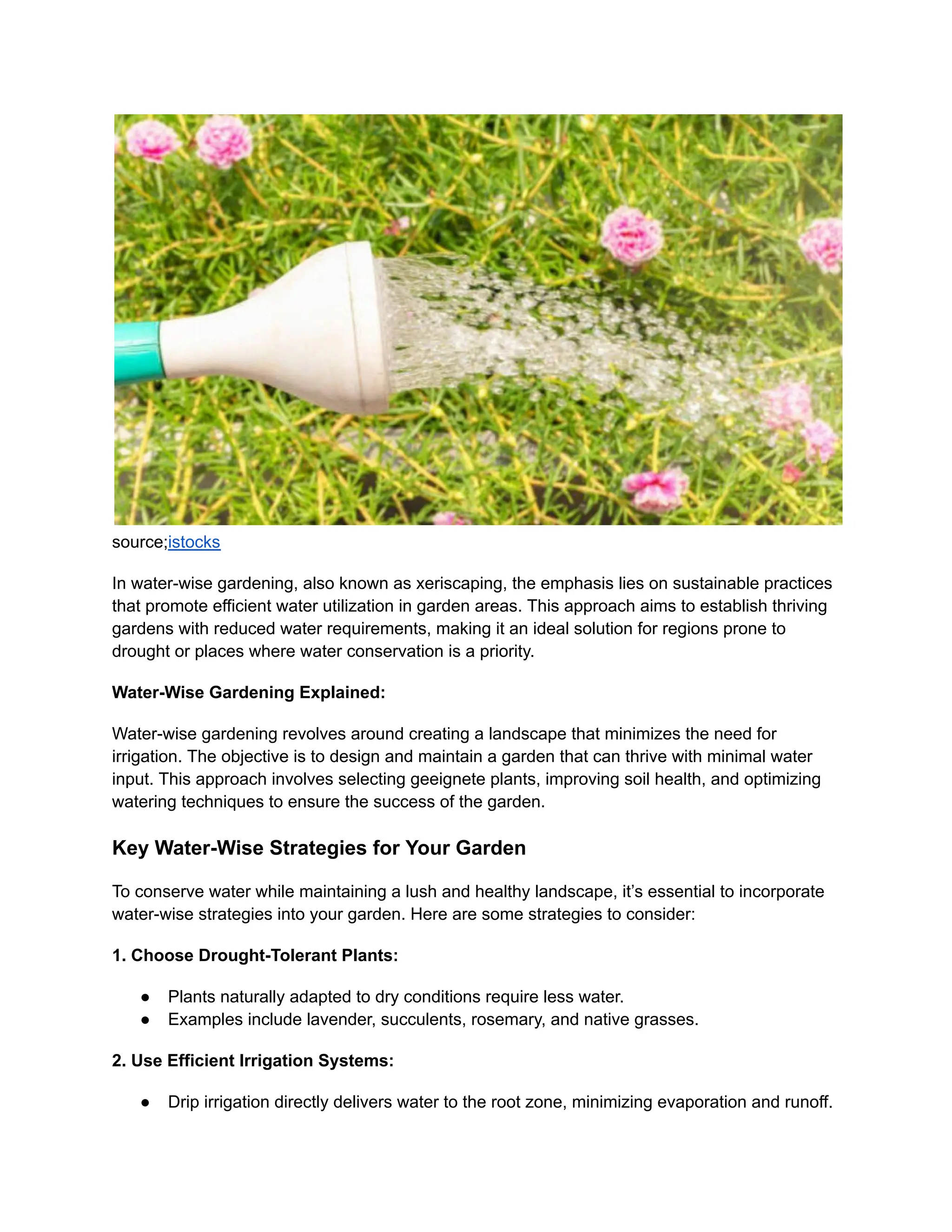 Efficient Gardening: Water-Wise Strategies for a Greener, Drought-Resilient Garden | PDF