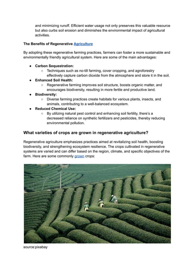 9 Regenerative Farming Practices That Promote Eco-Friendly Agriculture ...
