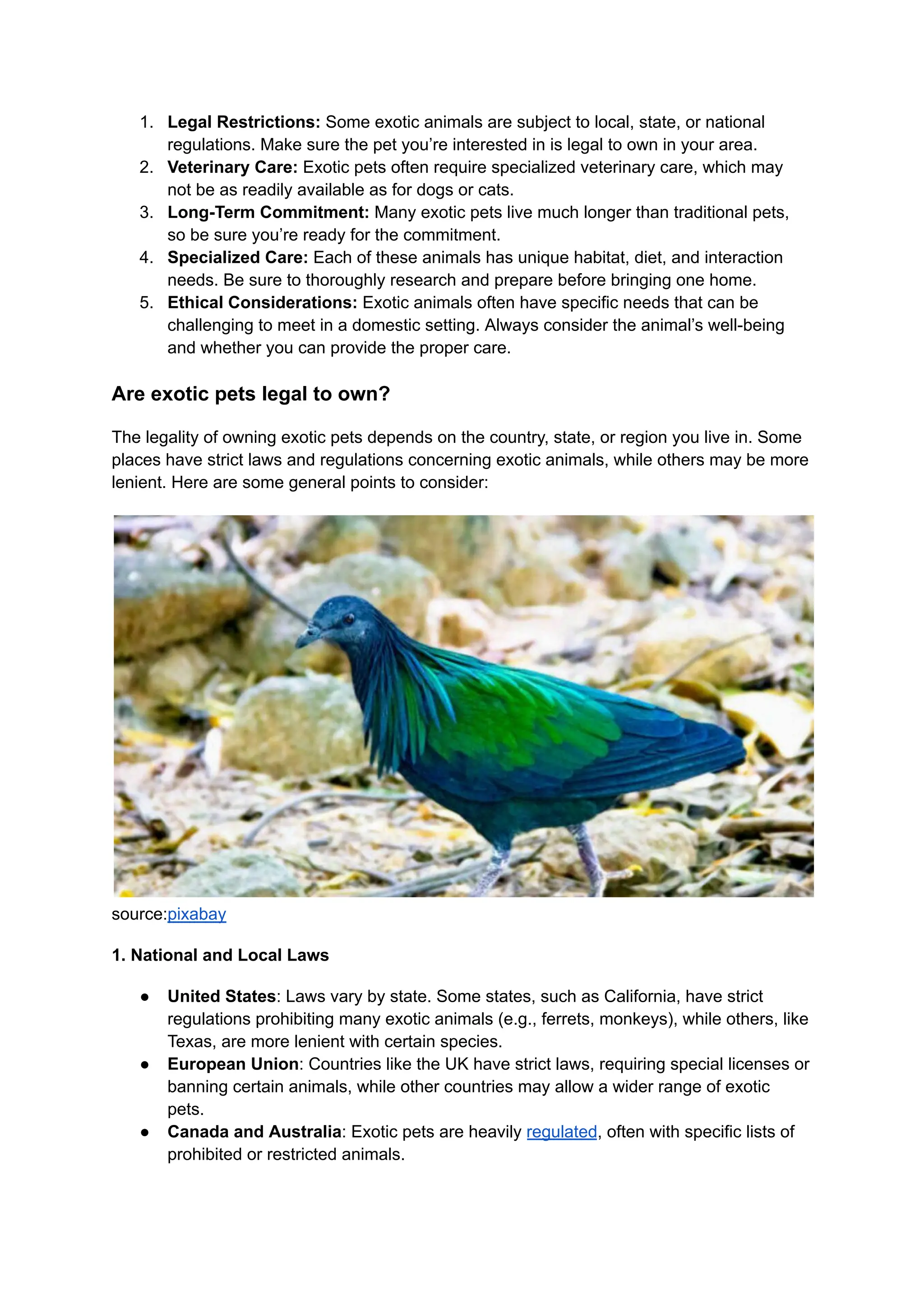 Top 7 Exotic Pets for Your Home: What You Need to Know Before Adopting ...