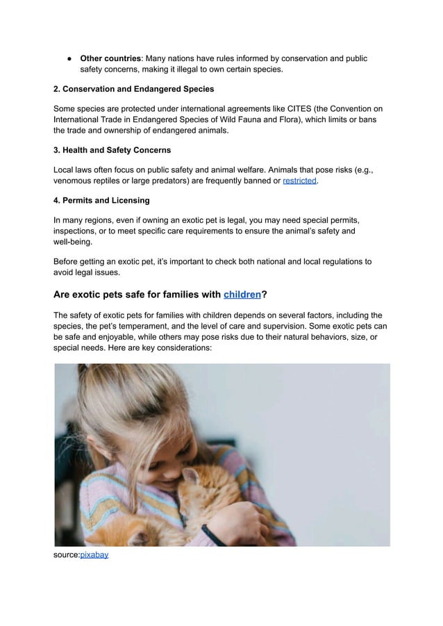 Top 7 Exotic Pets for Your Home: What You Need to Know Before Adopting ...