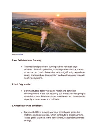 12 Environmentally-Friendly Ideas for Grass Stubble Disposal in ...