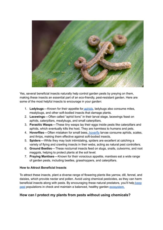 11 Quick Tips to Deter Pests and Protect Your Garden | PDF