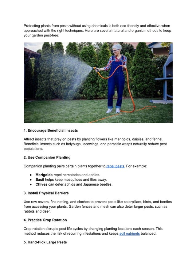 11 Quick Tips to Deter Pests and Protect Your Garden | PDF