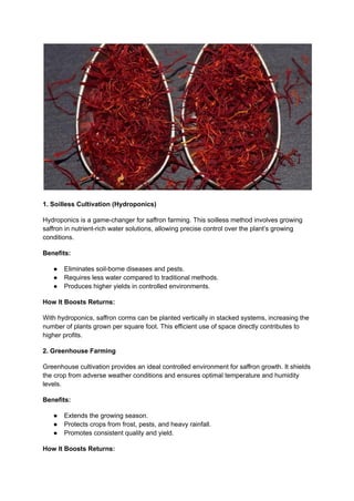 Top 5 Modern Saffron Cultivation Techniques for Higher Returns | PDF