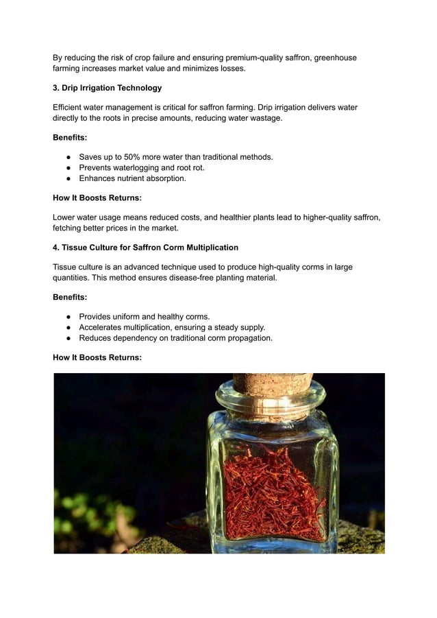Top 5 Modern Saffron Cultivation Techniques for Higher Returns | PDF