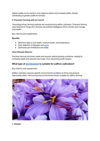 Top 5 Modern Saffron Cultivation Techniques for Higher Returns | PDF