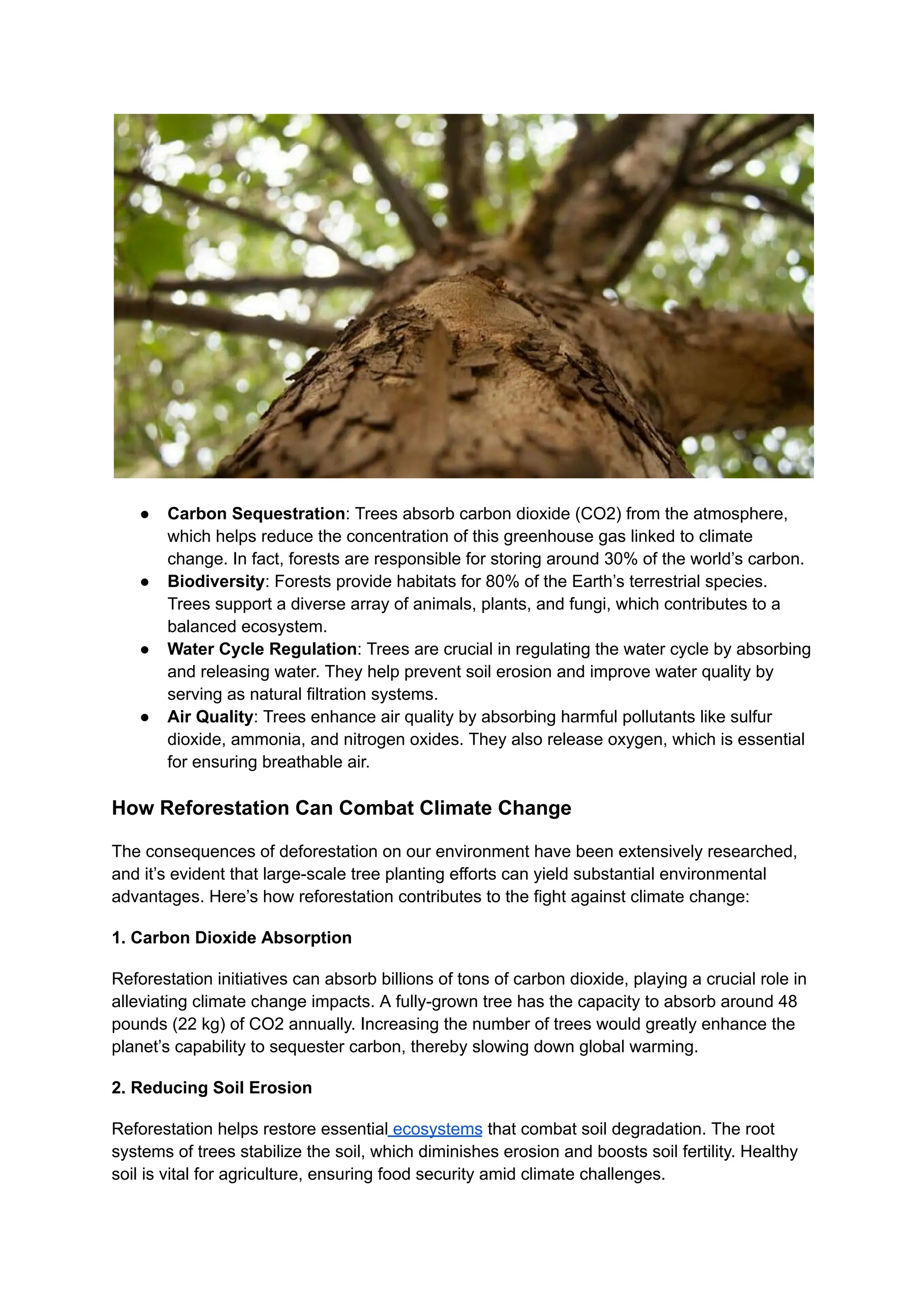 7 Surprising Benefits of Reforestation for a Healthier Earth | PDF