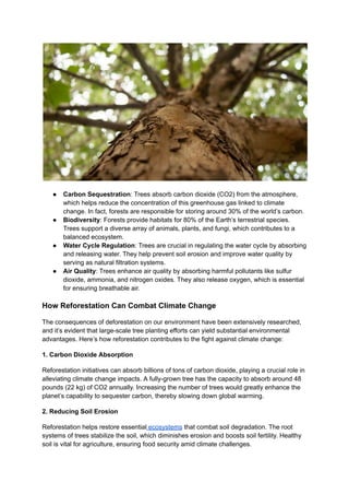 7 Surprising Benefits of Reforestation for a Healthier Earth | PDF