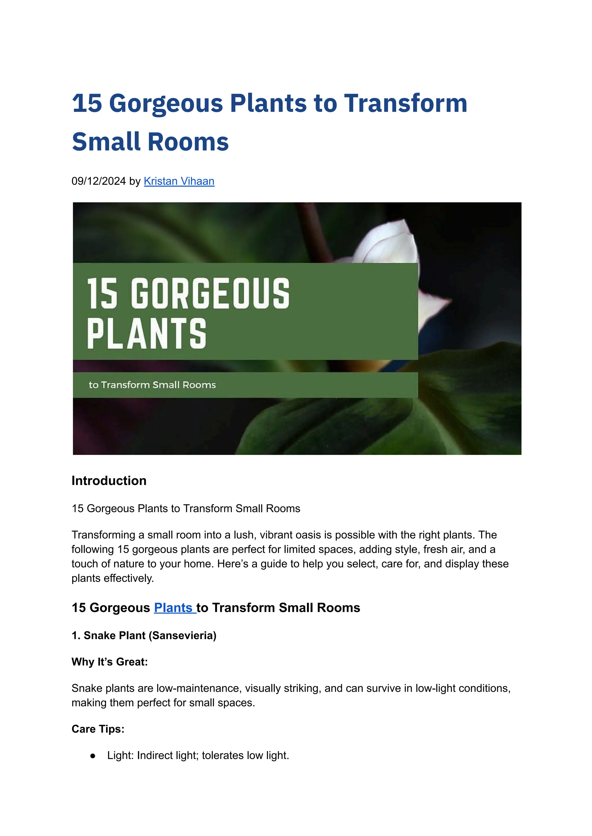 15 Gorgeous Plants to Transform Small Rooms | PDF