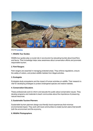 Top 10 Roles in Eco-Tourism Create Job Opportunities in Wildlife ...