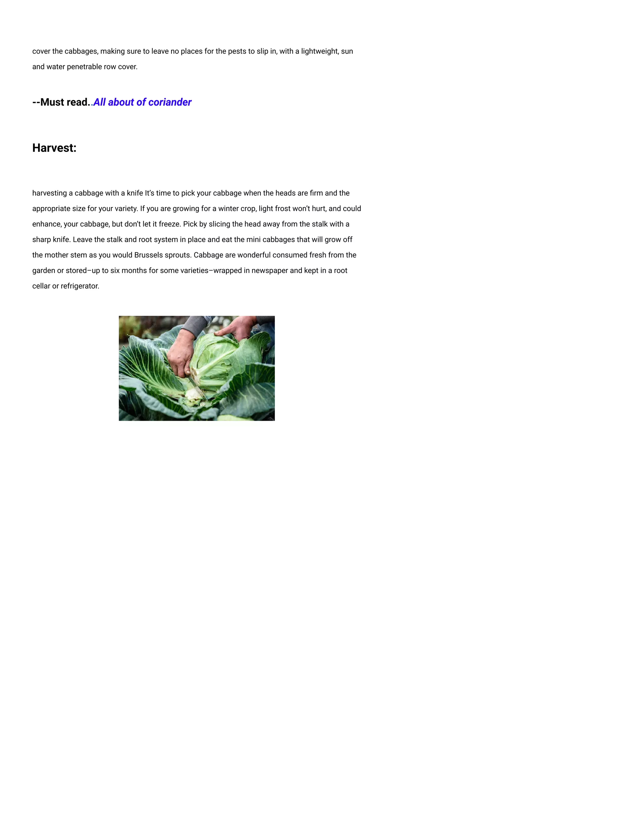 All about of cabbage | PDF