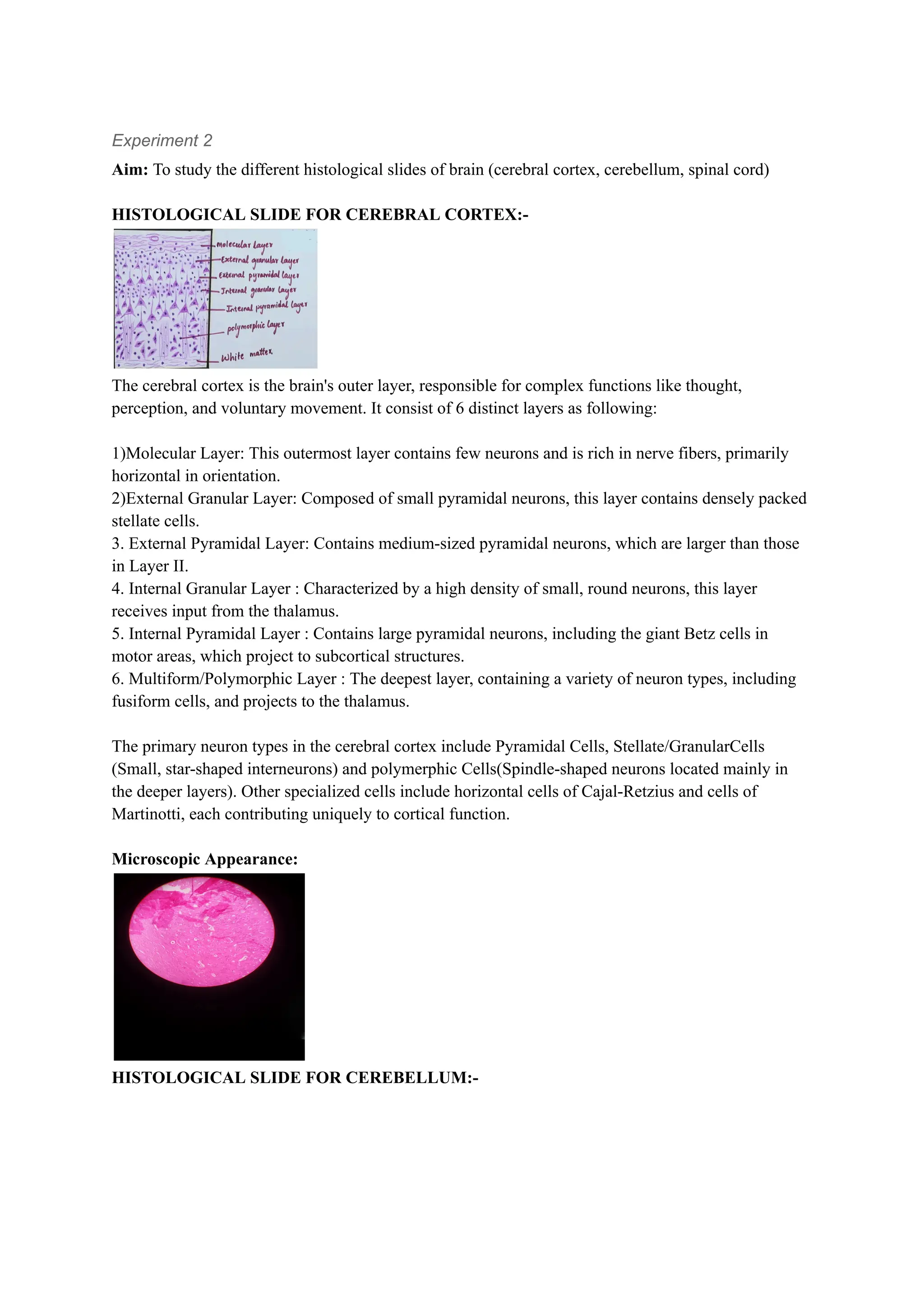 Histological slides of brain (cerebral cortex, cerebellum, spinal cord) | PDF