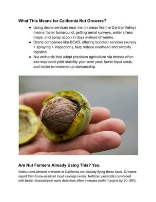 Nuts & Drones: How Technology is Transforming Walnut & Tree Nut Farming ...