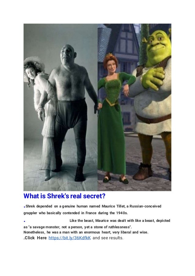 About Shred story. | DOCX