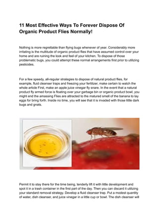 11 Most effective Ways To Forever Dispose Of Organic product Flies ...