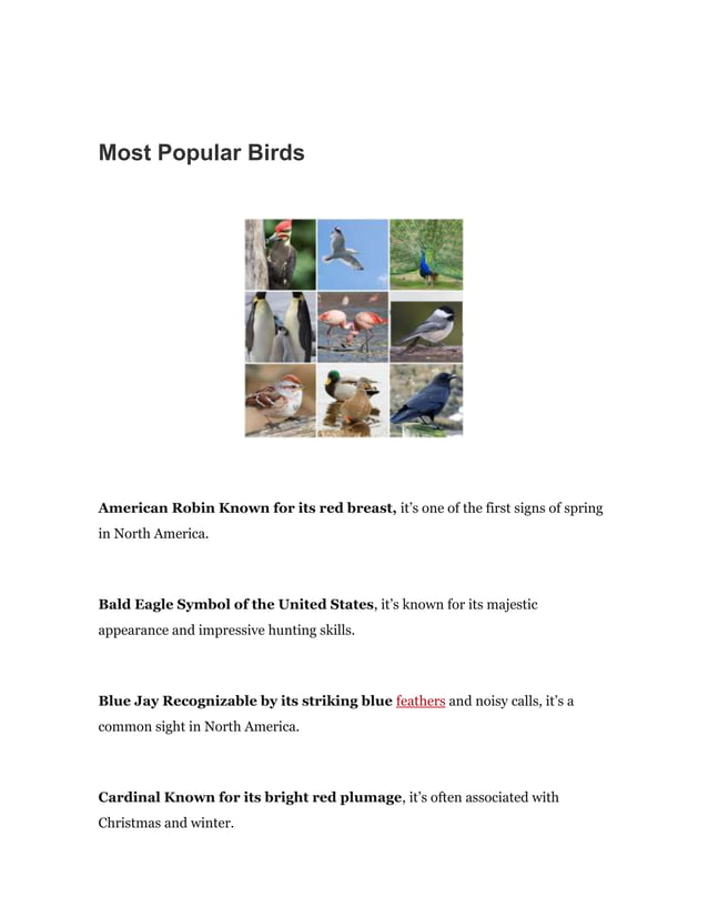 Most Popular birds American Robin bald eagle | PDF