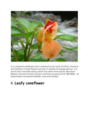 Top 10 incredible rare flowers in India | PDF