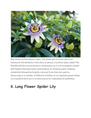 Top 10 incredible rare flowers in India | PDF