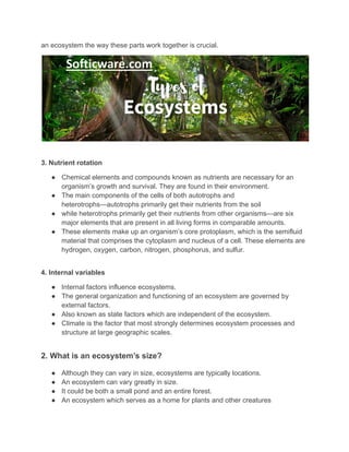 What is EcoSystem & How does it work’s | PDF
