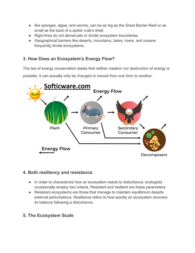 What is EcoSystem & How does it work’s | PDF | Geography | Science