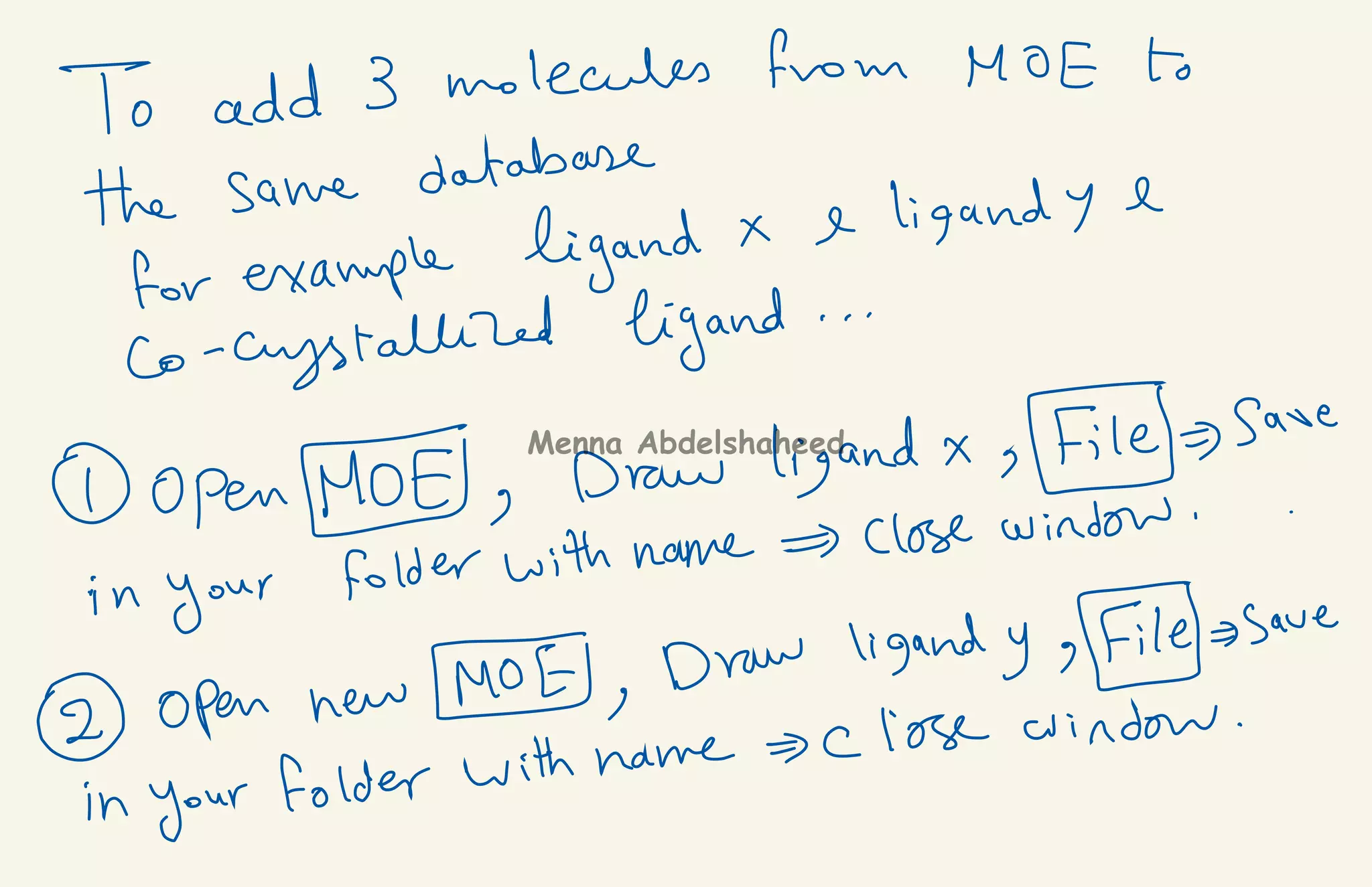 MOE docking | PDF