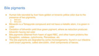 animal pigments | PDF