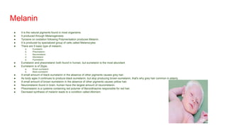 animal pigments | PDF