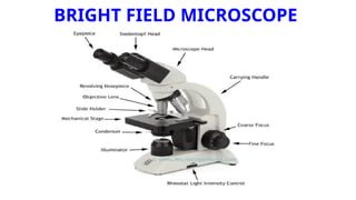 Bright Field Microbiology//ppt Microbiology | PPT