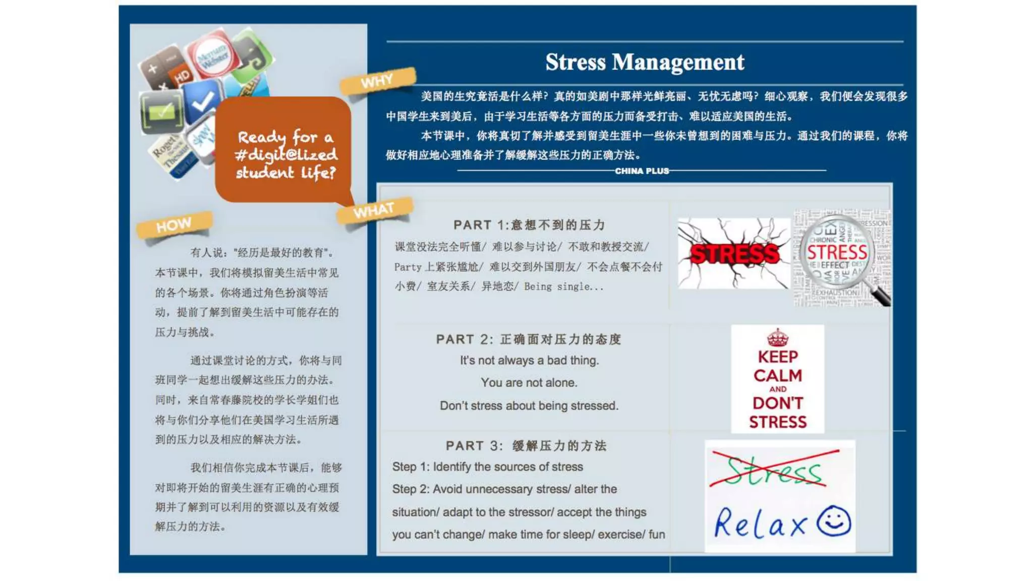 Curriculum Sample | PPTX