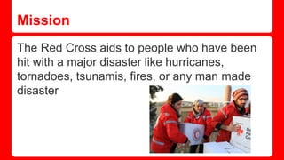The Red Cross | PPT