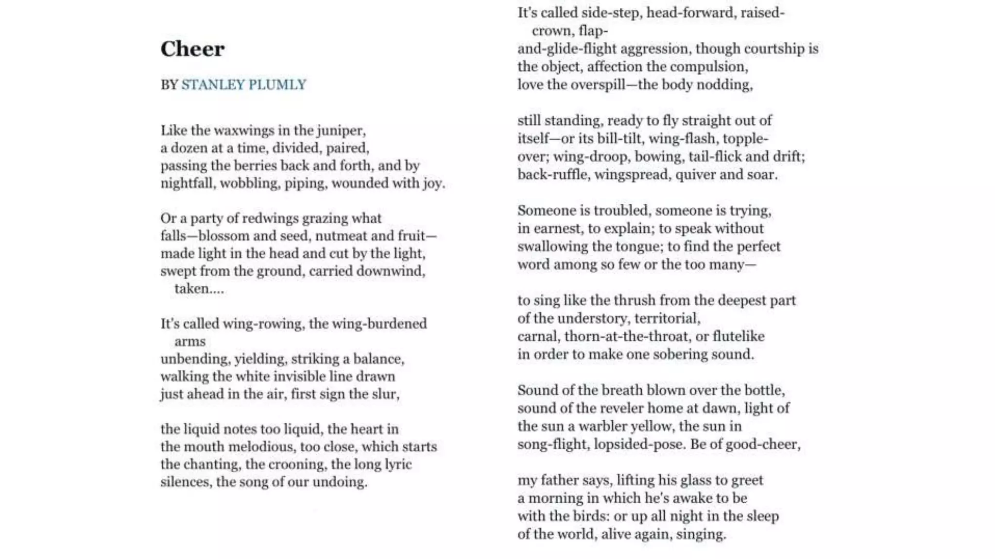 Multi-genre project; Cheer | PPTX