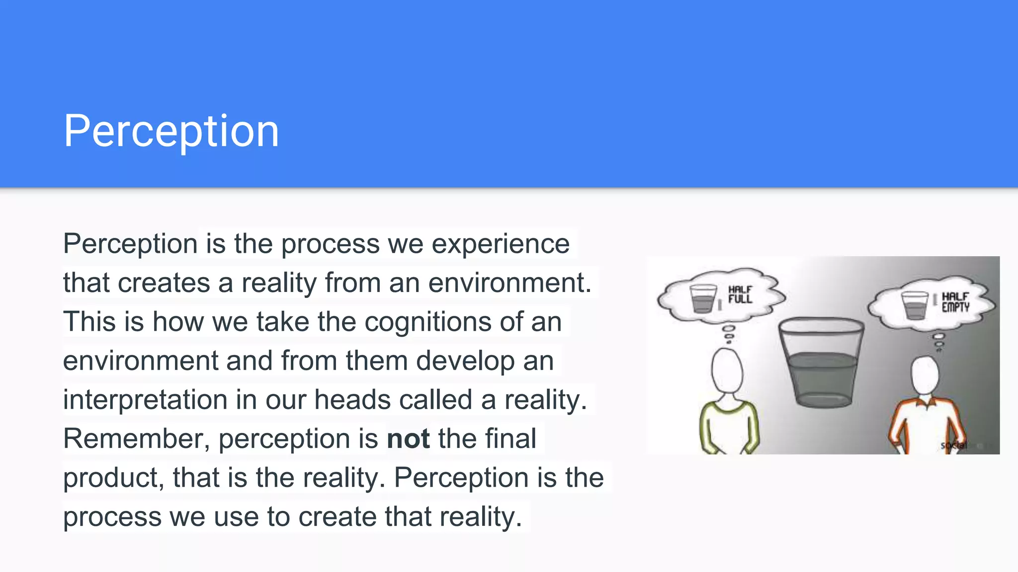 Perception Process | PPT