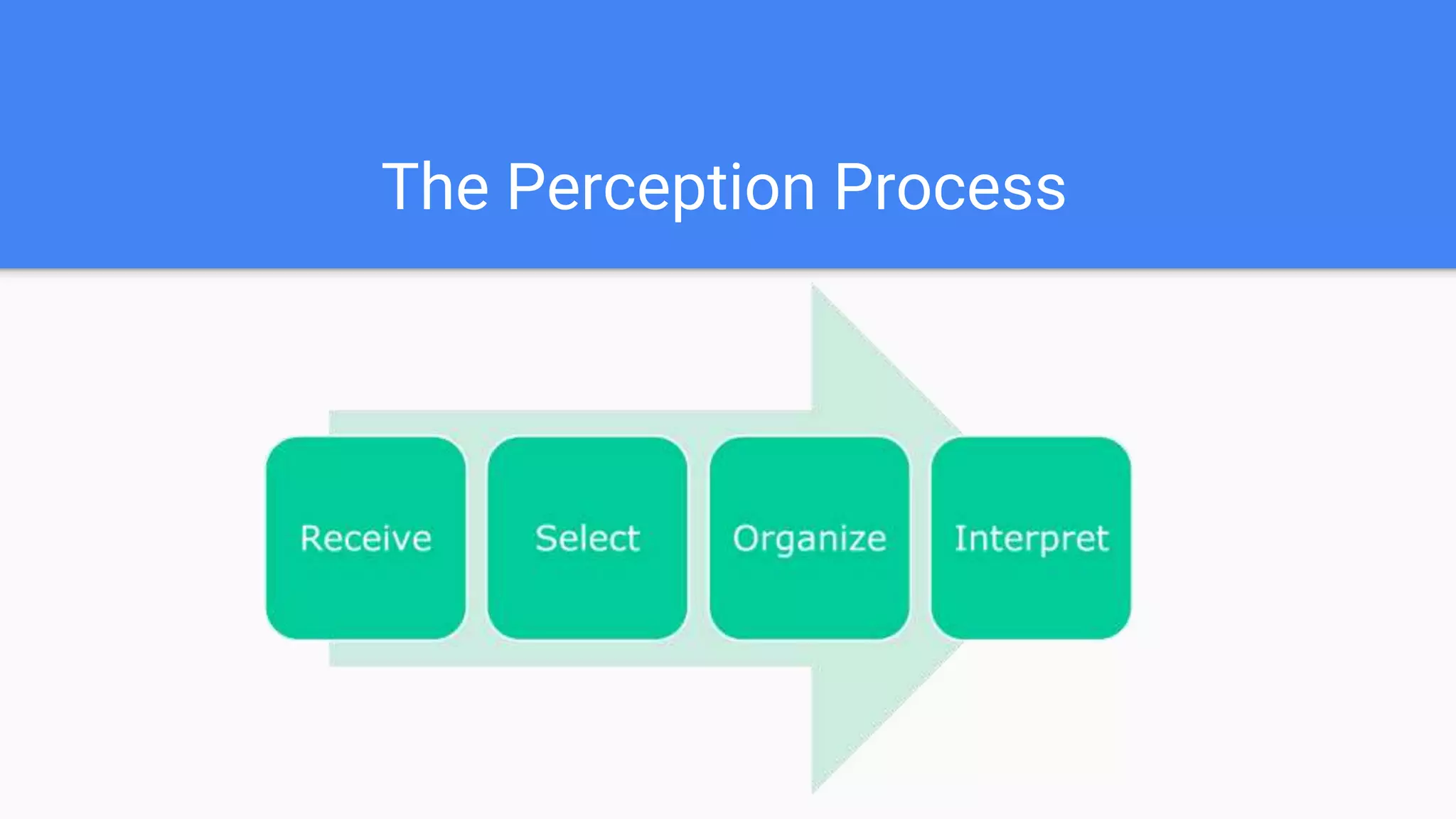 Perception Process | PPT