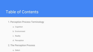 Perception Process | PPT