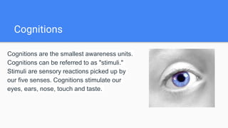 Perception Process | PPT