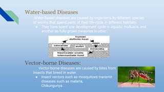 water borne diseases | PPTX
