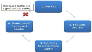 Biology Of Hunger | PPT