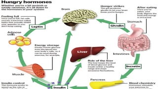 Biology Of Hunger | PPT