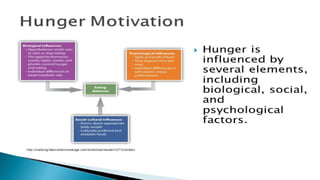 Biology Of Hunger | PPT
