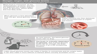 Biology Of Hunger | PPT