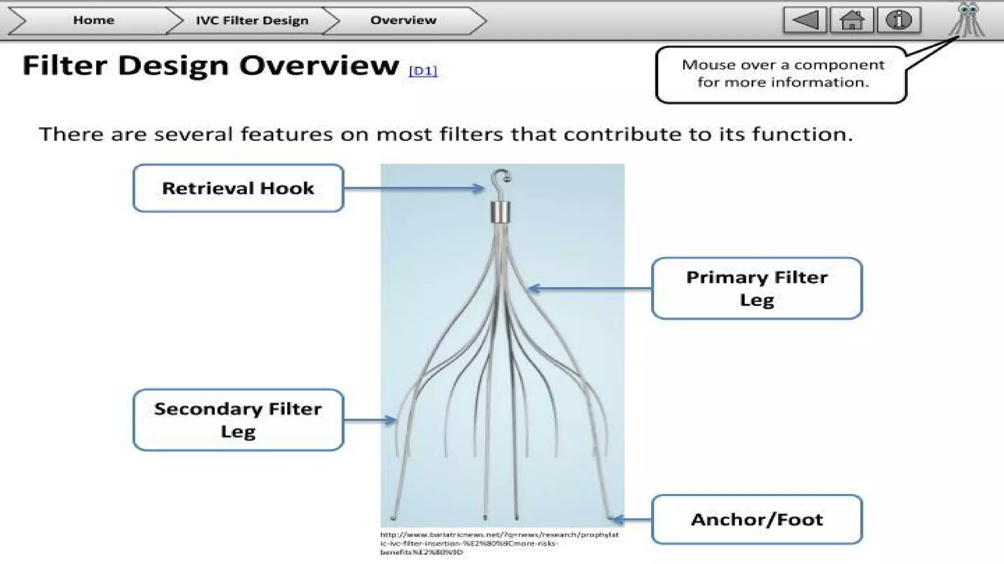 IVC Filter | PDF