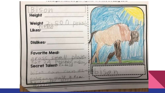 Moose vs. Bison | PPT