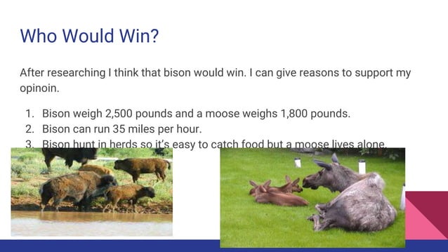 Moose vs. Bison | PPT