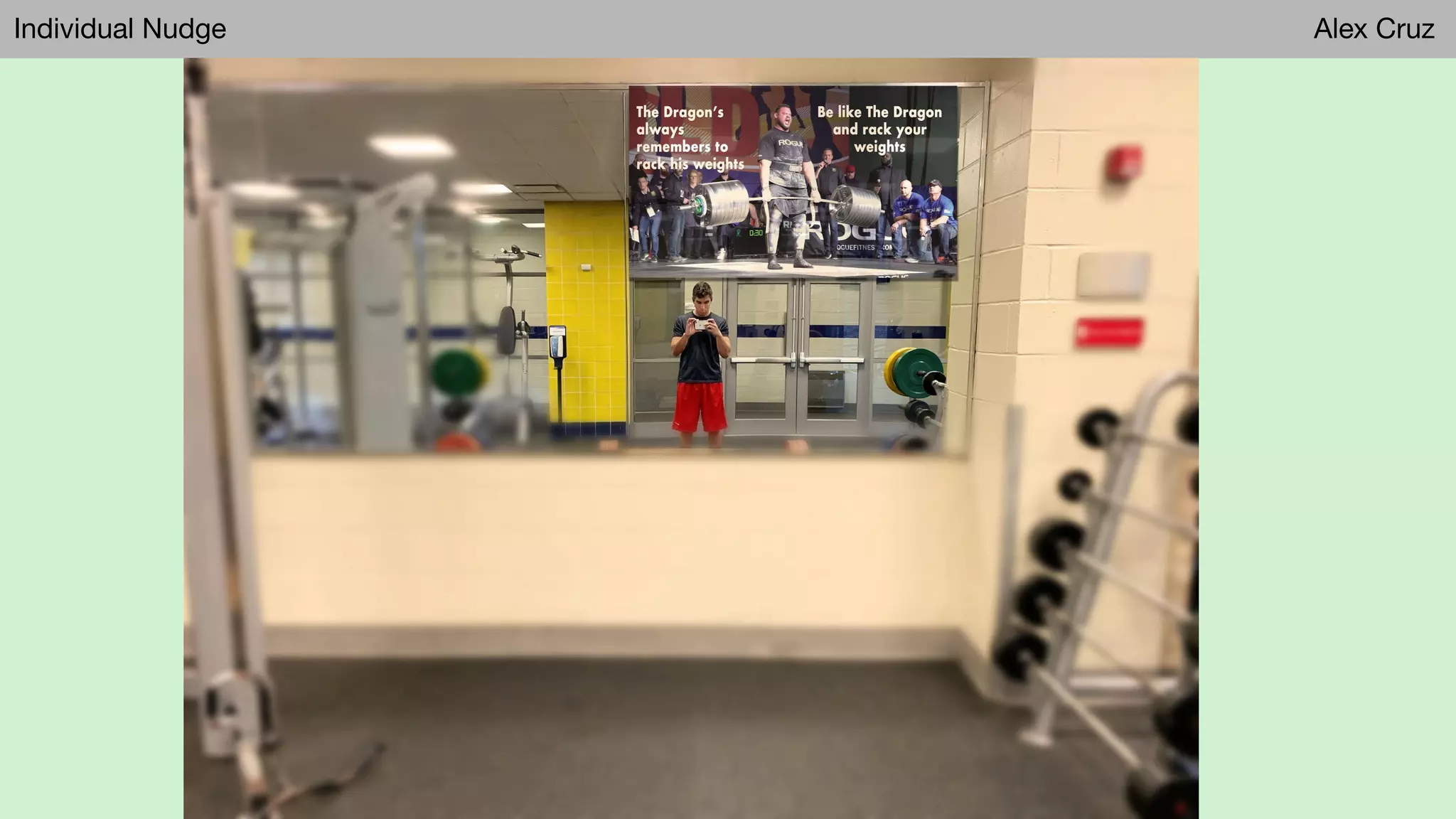 Individual presentation | PDF