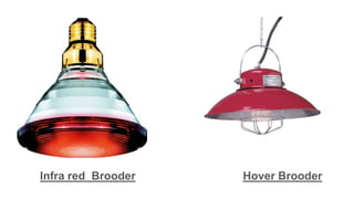 Untitled presentation-2.pptx