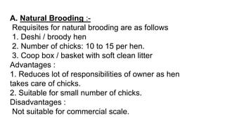 Untitled presentation-2.pptx