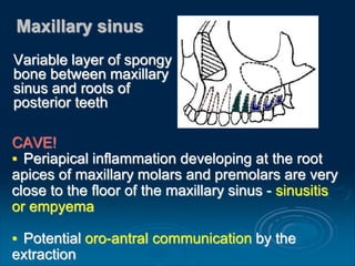 Untitled presentation-2.pptx | Ear, Nose and Throat Conditions ...