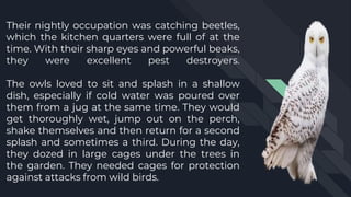 Untitled presentation-2.pptx