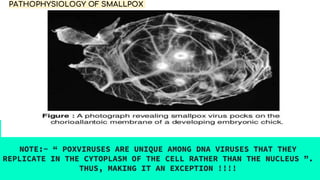 SMALLPOX ( Pathophysiology and Health Education Presentation ) | PPTX